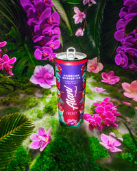 Alani Nu Cherry Slush Energy Drink 12-Pack